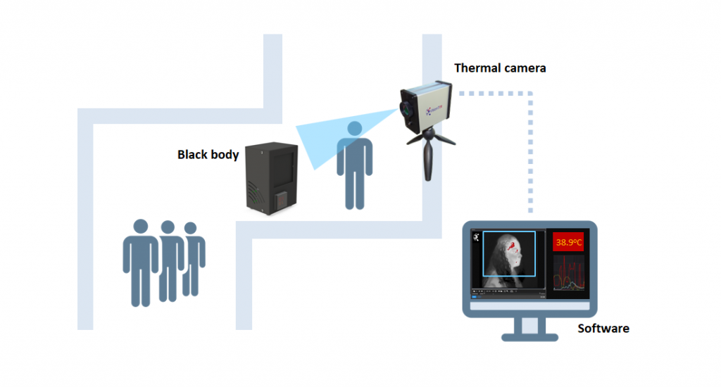 Effective body temperature measurement for fever detection